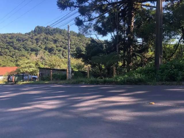 Terreno / Lote para Venda em Canela/RS Santa Terezinha