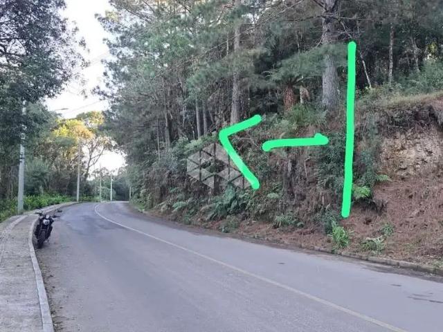 Terreno / Lote para Venda em Canela/RS Santa Terezinha