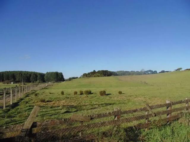 Terreno / Lote para Venda em Canela/RS Saiqui