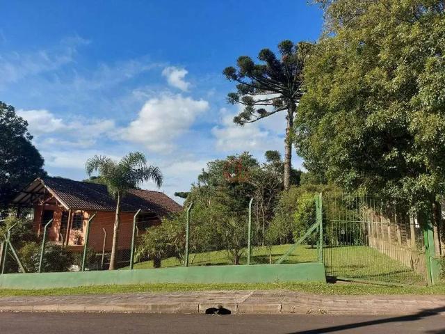 Terreno / Lote para Venda em Canela/RS Sequóias