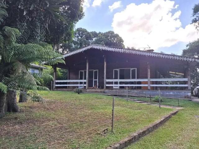 Terreno / Lote para Venda em Canela/RS Suzana