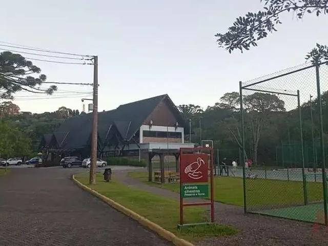 Terreno / Lote para Venda em Canela/RS Suzana