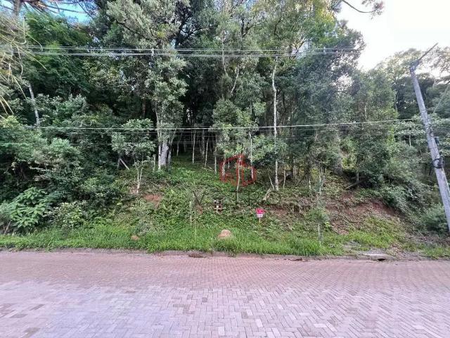 Terreno / Lote para Venda em Canela/RS Suzana