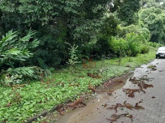Terreno / Lote para Venda em Canela/RS Suzana