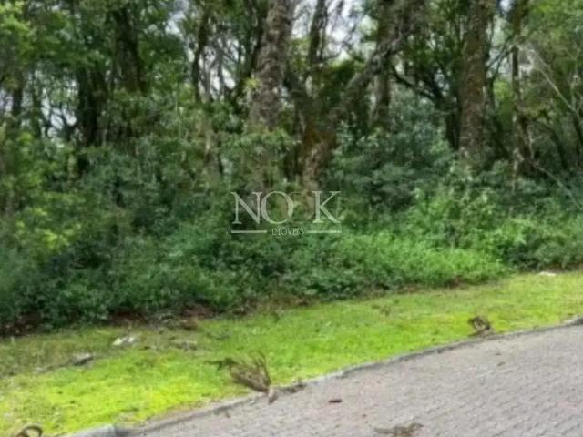 Terreno / Lote para Venda em Canela/RS Suzana