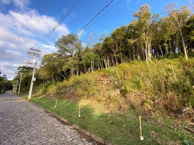 Terreno / Lote para Venda em Canela/RS Suzana