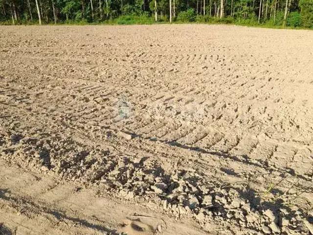 Terreno / Lote para Venda em Canelinha/SC Galera