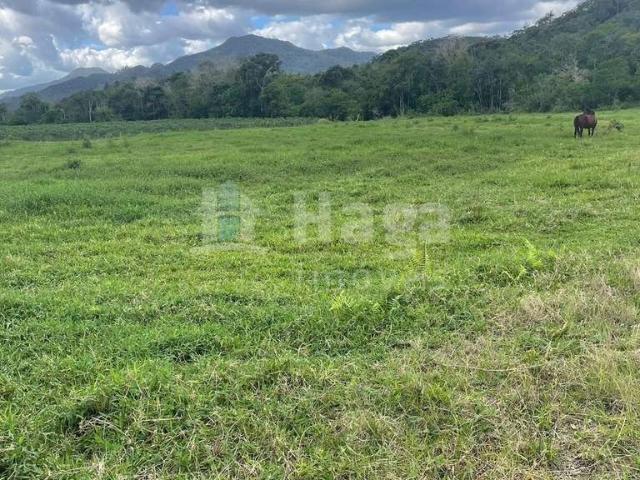 Terreno / Lote para Venda em Canelinha/SC Moura