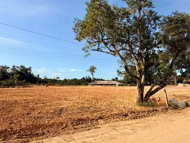 Terreno / Lote para Venda em Canelinha/SC Papagaios