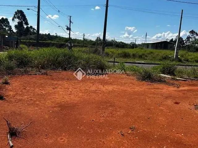 Terreno / Lote para Venda em Canoas/RS Brigadeira