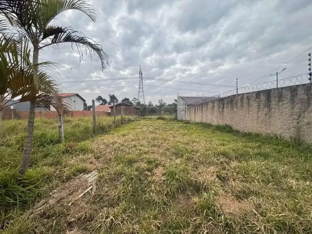 Terreno / Lote para Venda em Canoas/RS Brigadeira