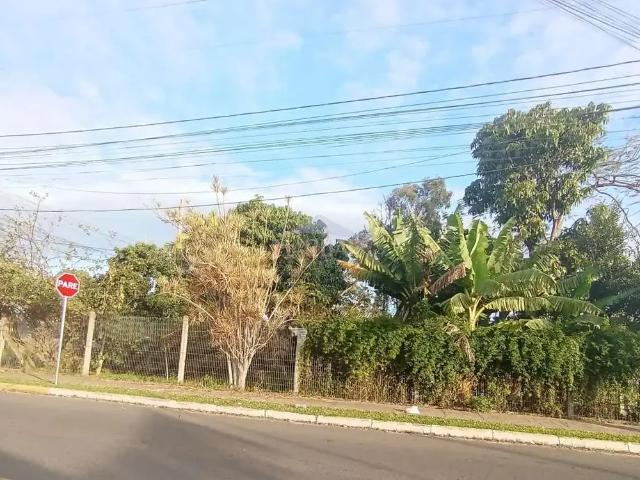 Terreno / Lote para Venda em Canoas/RS Estância Velha