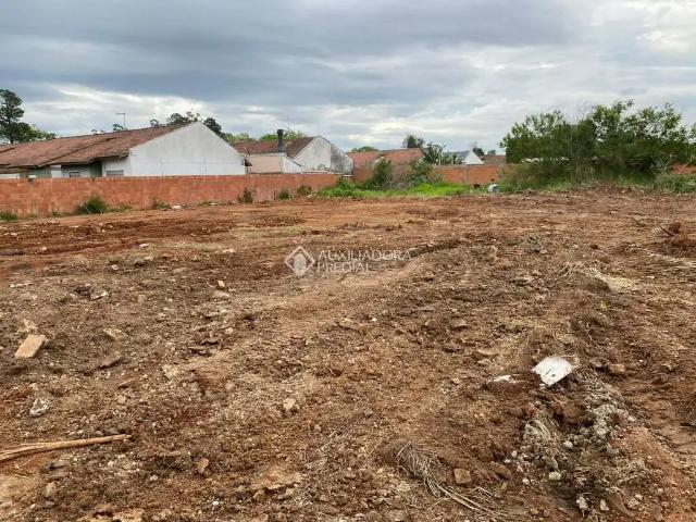 Terreno / Lote para Venda em Canoas/RS Estância Velha