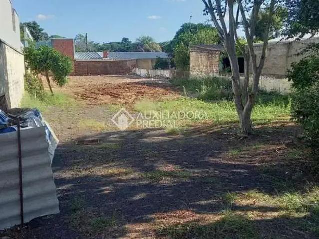 Terreno / Lote para Venda em Canoas/RS Harmonia