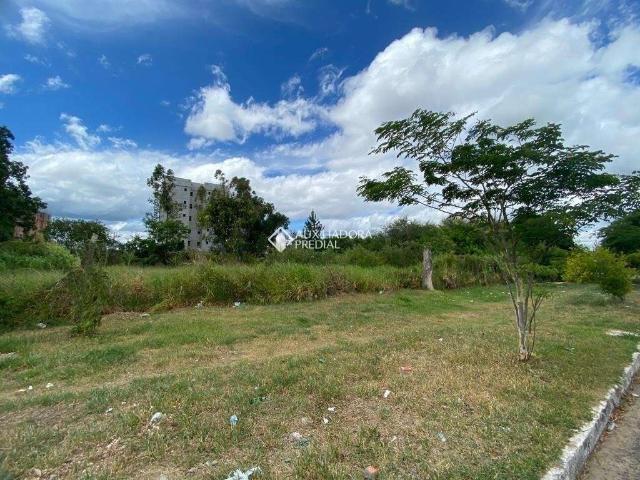 Terreno / Lote para Venda em Canoas/RS Harmonia