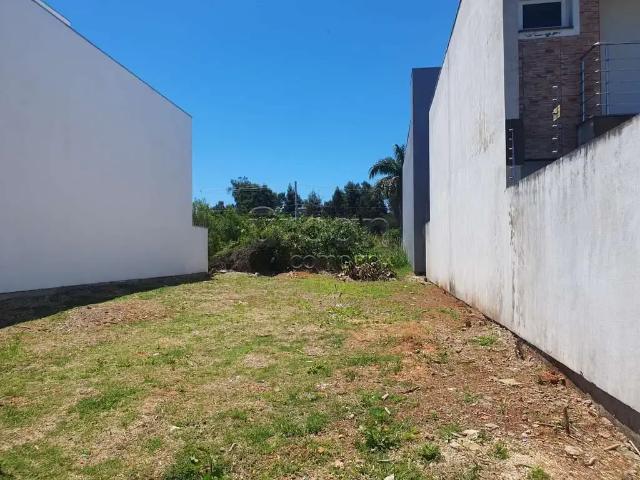 Terreno / Lote para Venda em Canoas/RS Igara