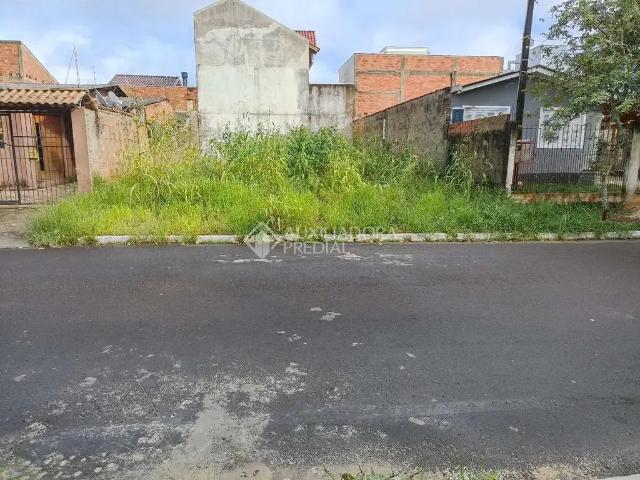 Terreno / Lote para Venda em Canoas/RS Igara