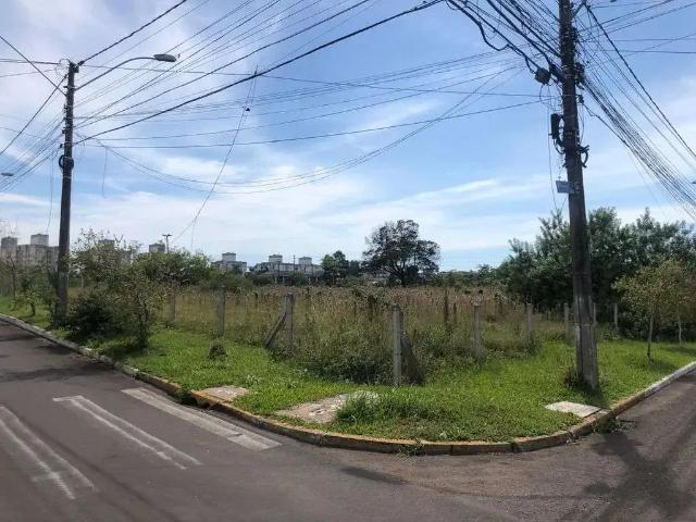Terreno / Lote para Venda em Canoas/RS Igara
