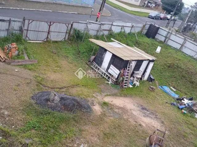 Terreno / Lote para Venda em Canoas/RS Igara