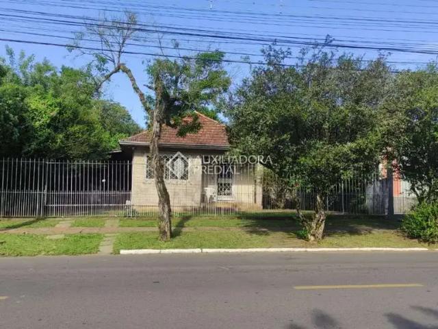 Terreno / Lote para Venda em Canoas/RS Igara