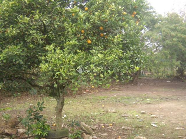 Terreno / Lote para Venda em Canoas/RS Mato Grande