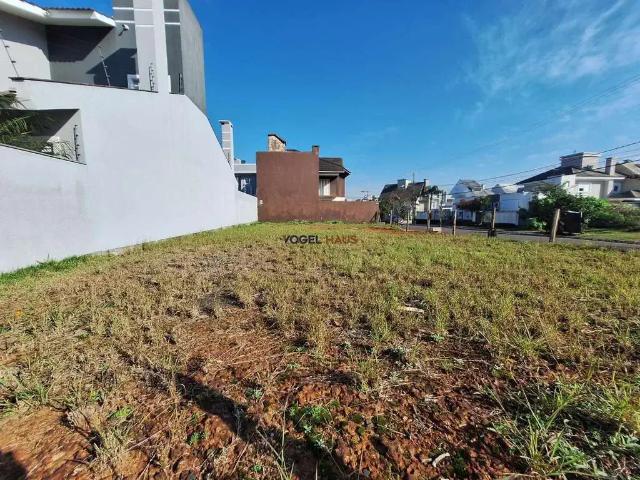 Terreno / Lote para Venda em Canoas/RS Moinhos De Vento
