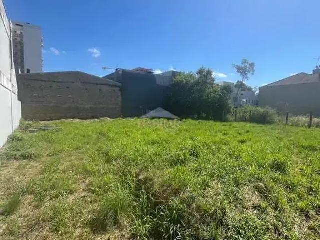 Terreno / Lote para Venda em Canoas/RS Moinhos De Vento