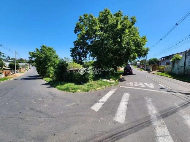 Terreno / Lote para Venda em Canoas/RS Olaria