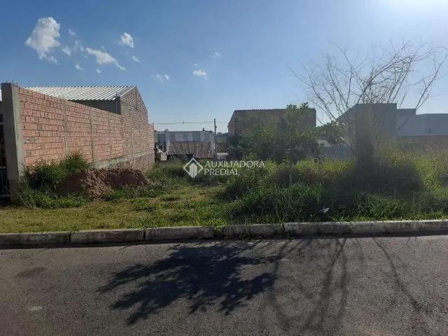 Terreno / Lote para Venda em Canoas/RS Olaria