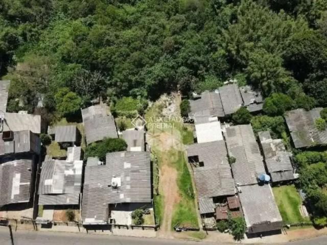 Terreno / Lote para Venda em Canoas/RS Olaria