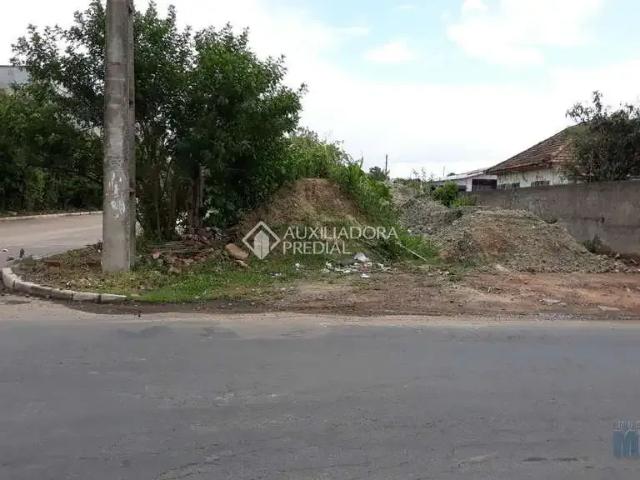 Terreno / Lote para Venda em Canoas/RS Rio Branco