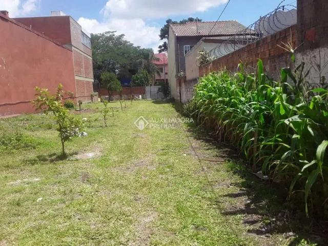 Terreno / Lote para Venda em Canoas/RS Rio Branco