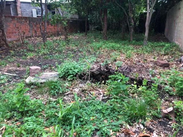 Terreno / Lote para Venda em Canoas/RS Rio Branco