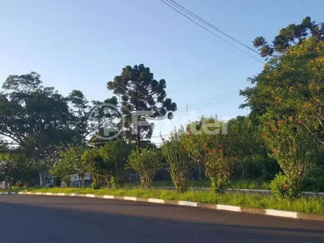 Terreno / Lote para Venda em Canoas/RS São José