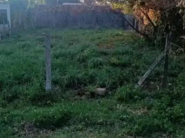 Terreno / Lote para Venda em Cabo de Santo Agostinho/PE Paiva