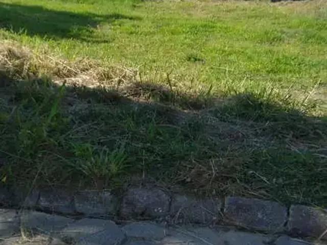Terreno / Lote para Venda em Cabo Frio/RJ Guriri