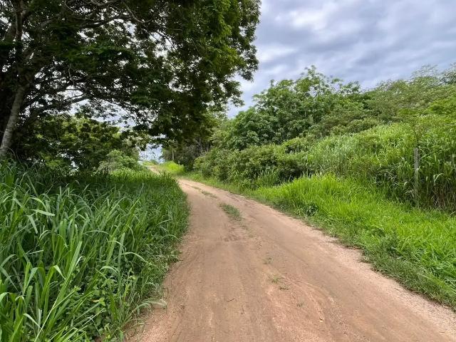 Terreno / Lote para Venda em Cabo Frio/RJ Jardim Peró