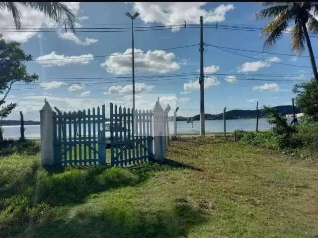 Terreno / Lote para Venda em Cabo Frio/RJ Palmeiras