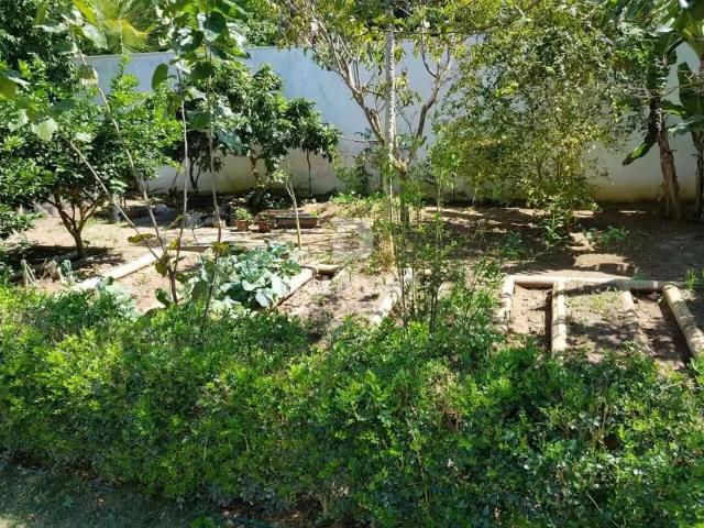 Terreno / Lote para Venda em Cabo Frio/RJ Palmeiras