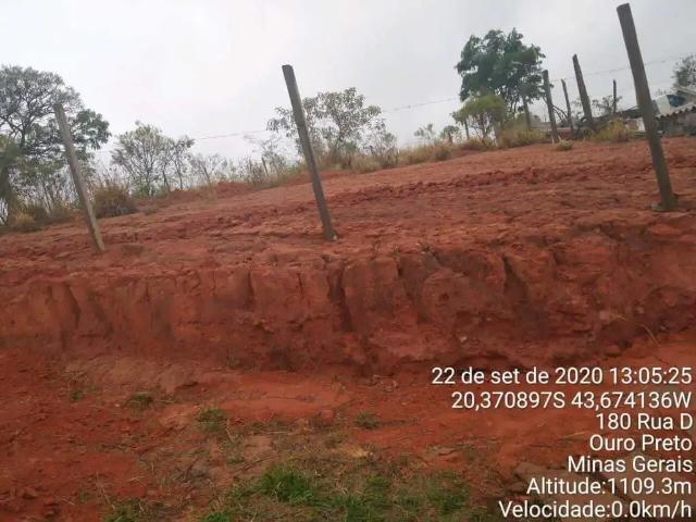Terreno / Lote para Venda em Cachoeira Do Campo/MG Vila Alegre