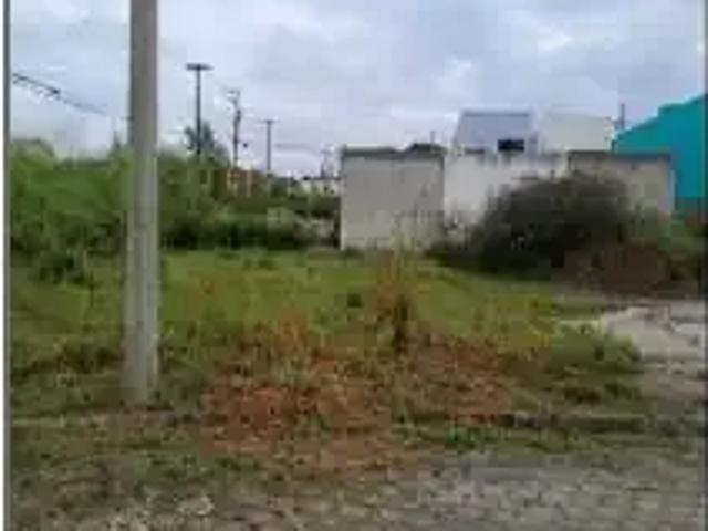 Terreno / Lote para Venda em Cachoeira Paulista/SP Bairro das Palmeiras