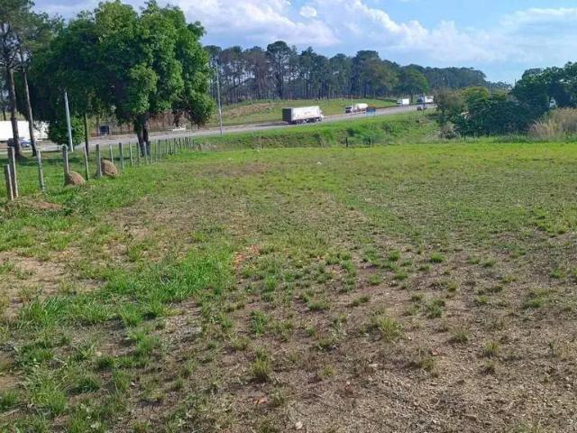 Terreno / Lote para Venda em Cachoeira Paulista/SP Centro
