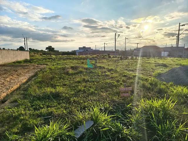 Terreno / Lote para Venda em Cachoeira Paulista/SP Centro