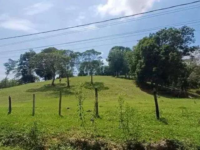 Terreno / Lote para Venda em Cachoeiras de Macacu/RJ Papucaia