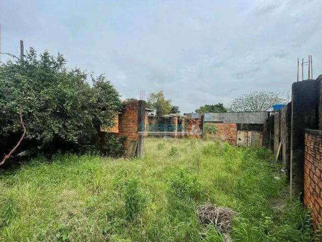 Terreno / Lote para Venda em Cachoeirinha/RS Vila Bom Princípio