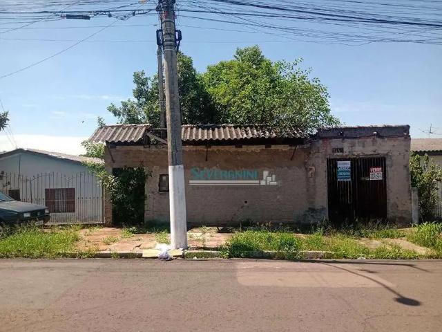 Terreno / Lote para Venda em Cachoeirinha/RS Vila Bom Princípio