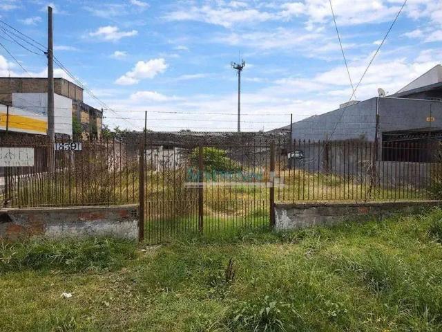 Terreno / Lote para Venda em Cachoeirinha/RS Vila Eunice Nova