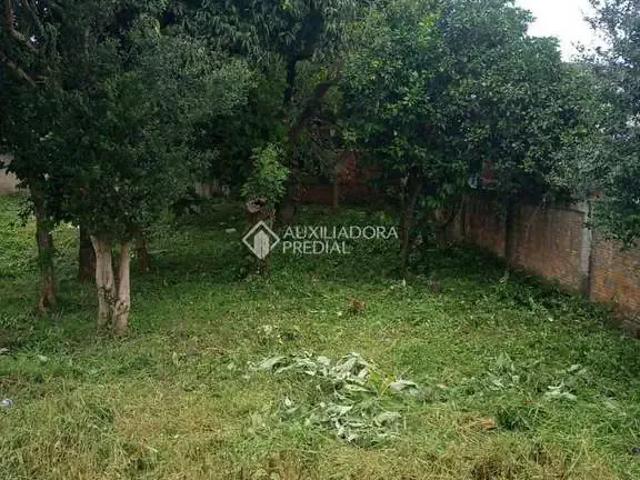 Terreno / Lote para Venda em Cachoeirinha/RS Vila Fátima