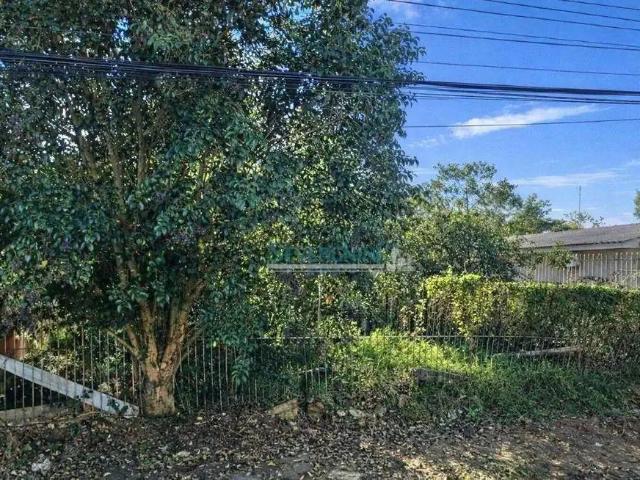 Terreno / Lote para Venda em Cachoeirinha/RS Vila Vista Alegre