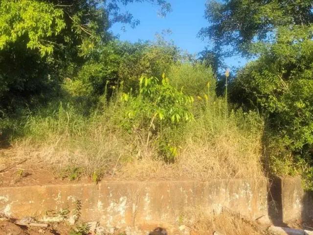 Terreno / Lote para Venda em Cachoeirinha/RS Vila Vista Alegre